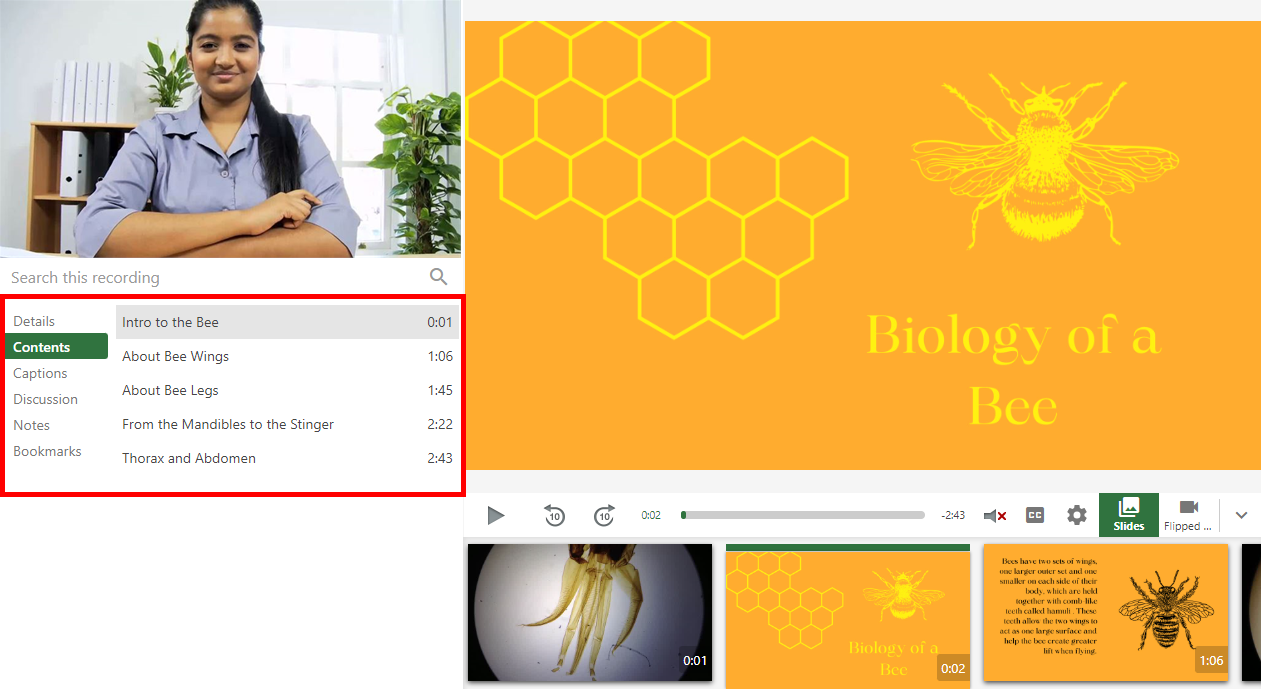 Learn About the Features of the Video Viewer